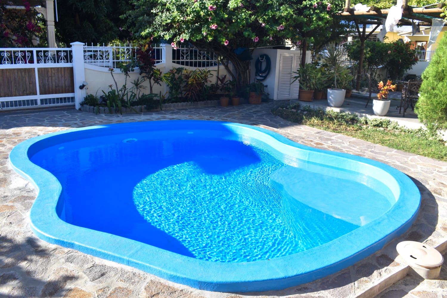 Le Bénitier En | Discovery Rodrigues